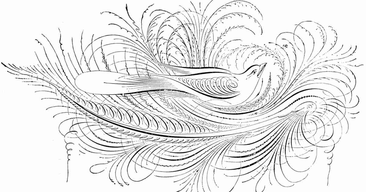 Convolutional stochastic processes — The Dan MacKinlay stable of ...