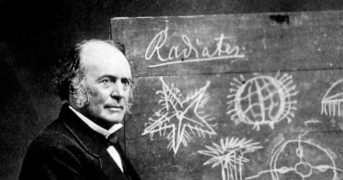 Online whiteboards — The Dan MacKinlay stable of variably-well-consider ...