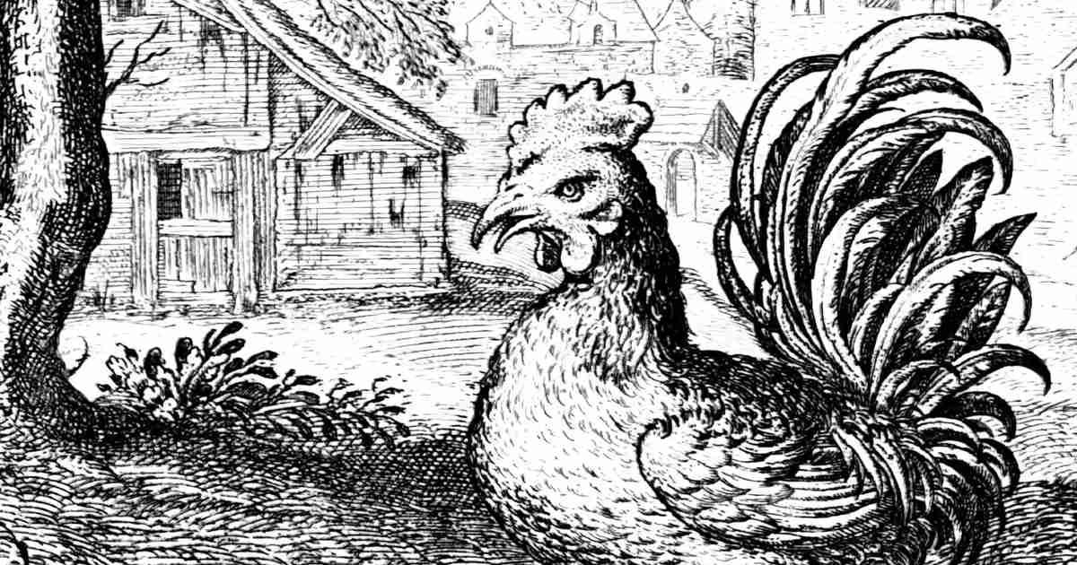 Coincidences in computation — The Dan MacKinlay stable of variably-well ...