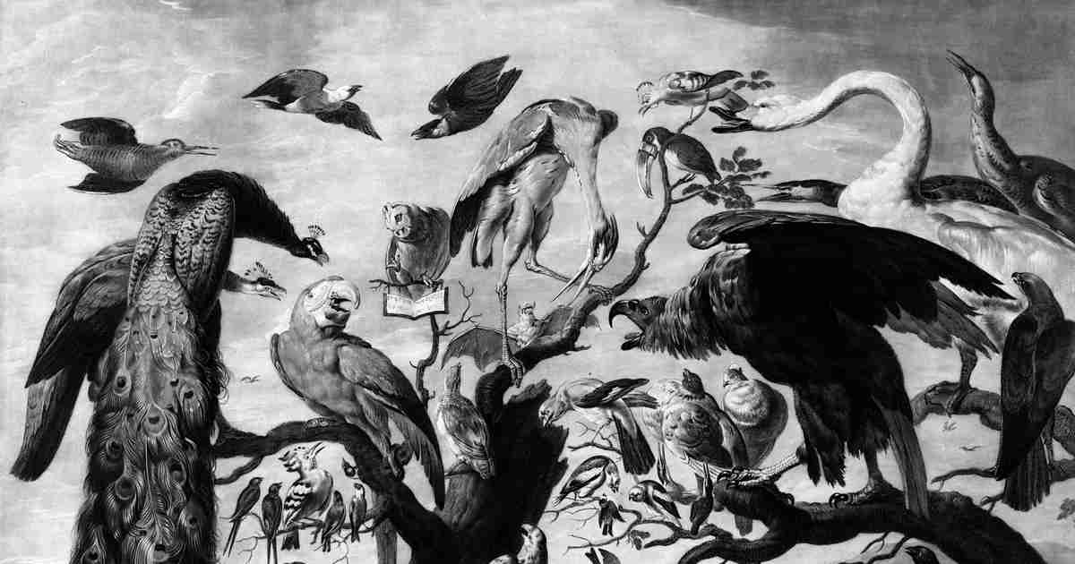 Ecological stability — The Dan MacKinlay stable of variably-well ...