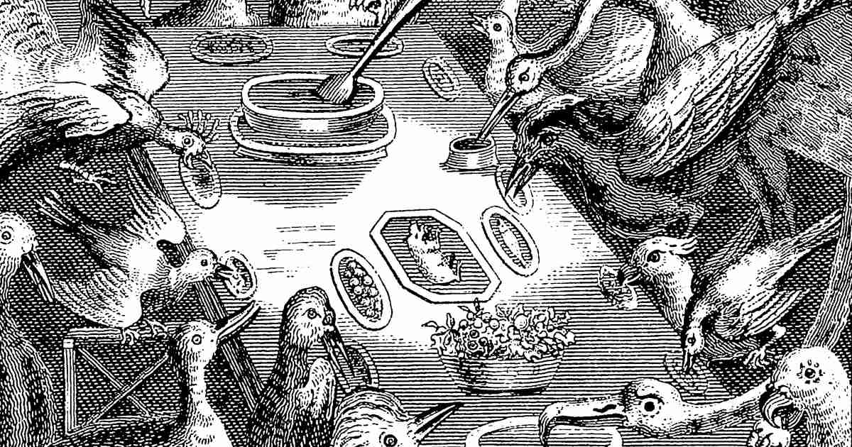 Ecology — The Dan MacKinlay stable of variably-well-consider’d enterprises