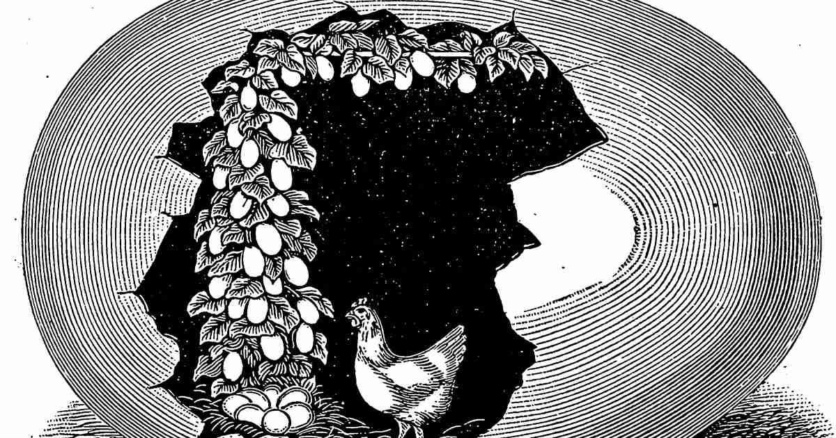 Morphogenesis — The Dan MacKinlay stable of variably-well-consider’d ...