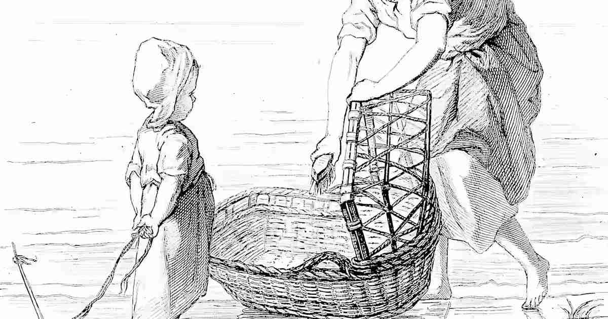 Expectation maximisation — The Dan MacKinlay stable of variably-well ...