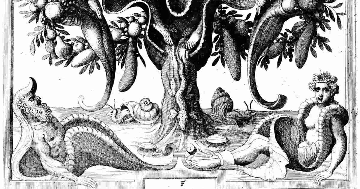 Bio computing — The Dan MacKinlay stable of variably-well-consider’d ...