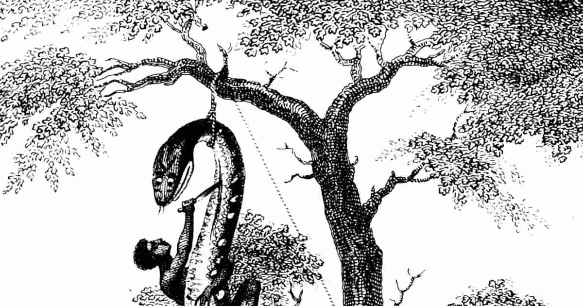 Python debugging, profiling and testing — The Dan MacKinlay stable of ...