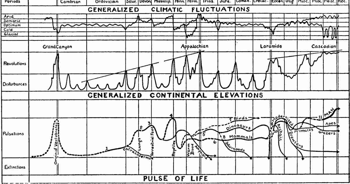 Miscellaneous nonstationary kernels — The Dan MacKinlay stable of ...