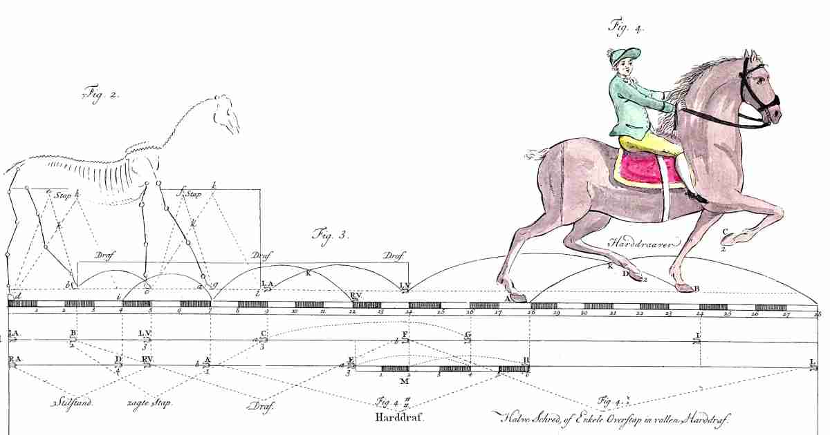 Gesture recognition — The Dan MacKinlay stable of variably-well ...