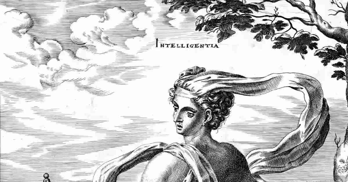 Continual learning — The Dan MacKinlay stable of variably-well-consider ...