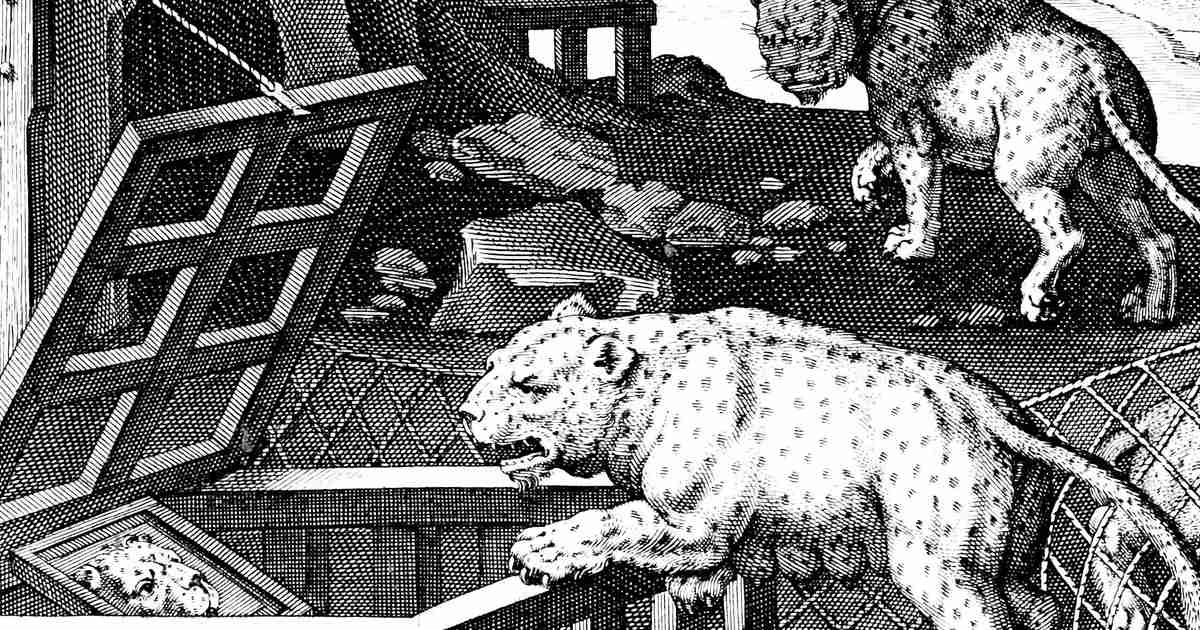 Artificial agency — The Dan MacKinlay stable of variably-well-consider ...