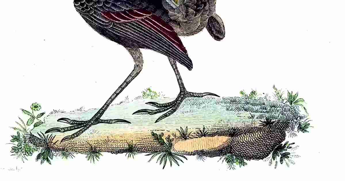 Verification and detection of generative AI — The Dan MacKinlay stable ...