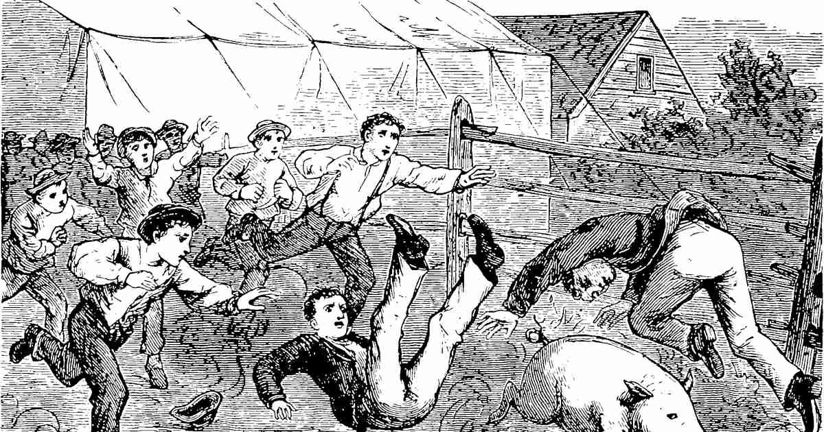 Stochastic differential equations — The Dan MacKinlay stable of ...