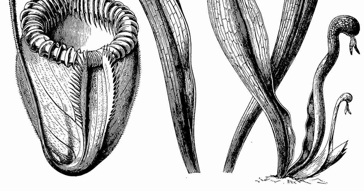 Evolution strategies — The Dan MacKinlay stable of variably-well ...