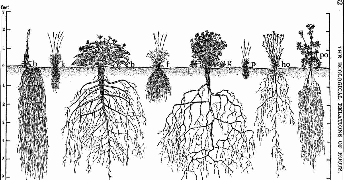 Home networks for lazy dummies — The Dan MacKinlay stable of variably ...