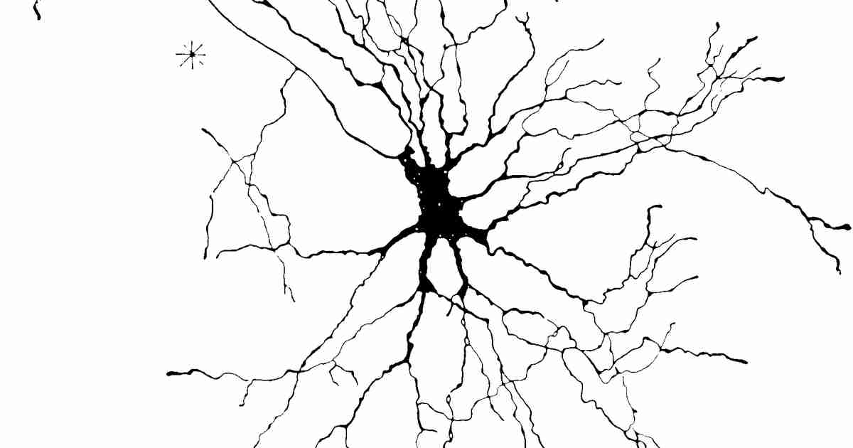 Tensorflow — The Dan MacKinlay stable of variably-well-consider’d ...