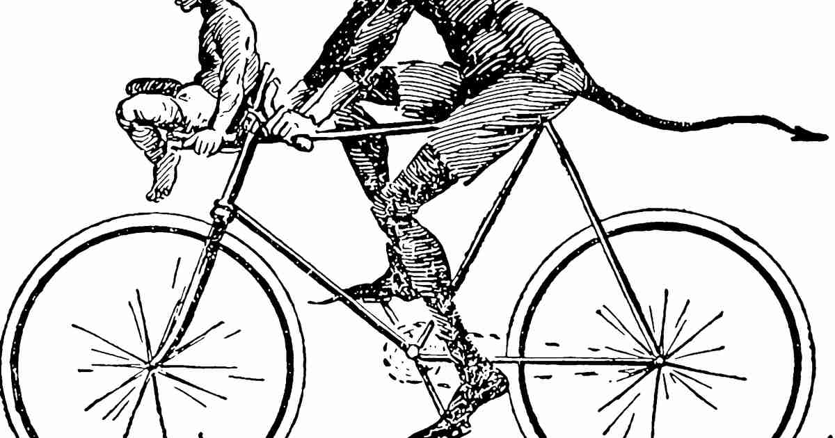 Self-supervised learning — The Dan MacKinlay stable of variably-well ...