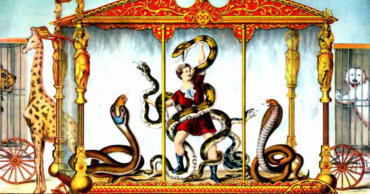 manim — The Dan MacKinlay stable of variably-well-consider’d enterprises