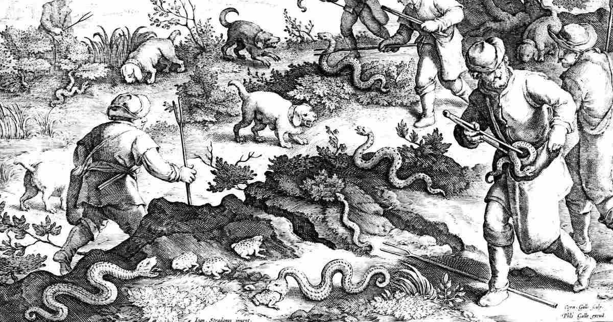 uv, the python package manager — The Dan MacKinlay stable of variably ...