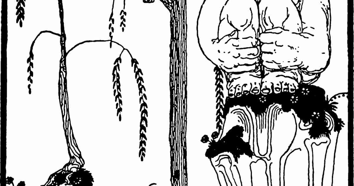 Institutions — The Dan MacKinlay stable of variably-well-consider’d ...