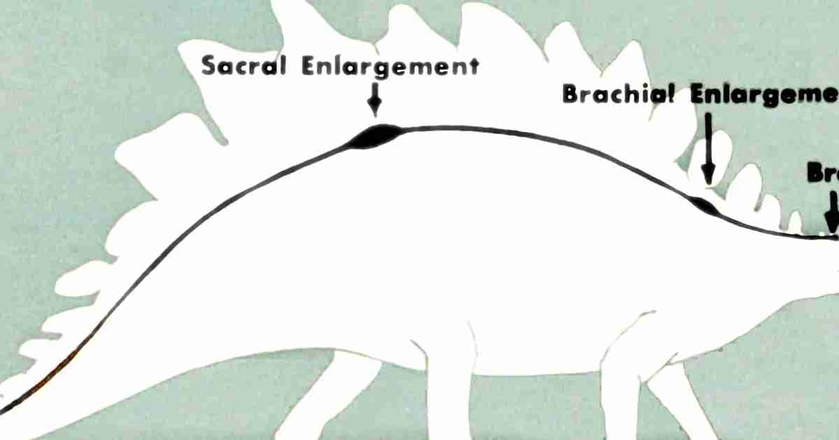 Edge ML — The Dan MacKinlay stable of variably-well-consider’d enterprises