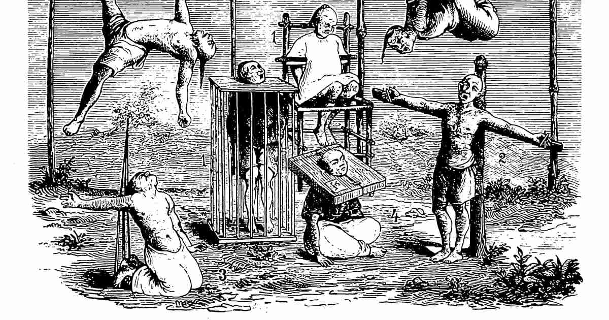 Fitness — The Dan MacKinlay stable of variably-well-consider’d enterprises