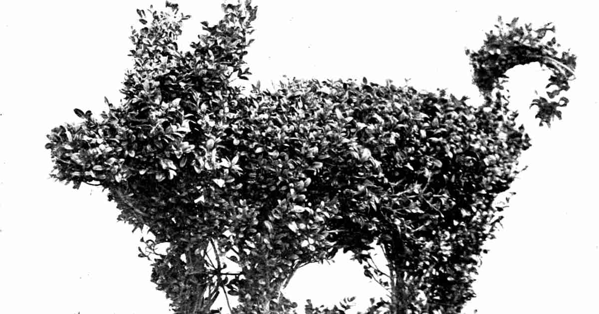 Probabilistic neural nets — The Dan MacKinlay stable of variably-well ...