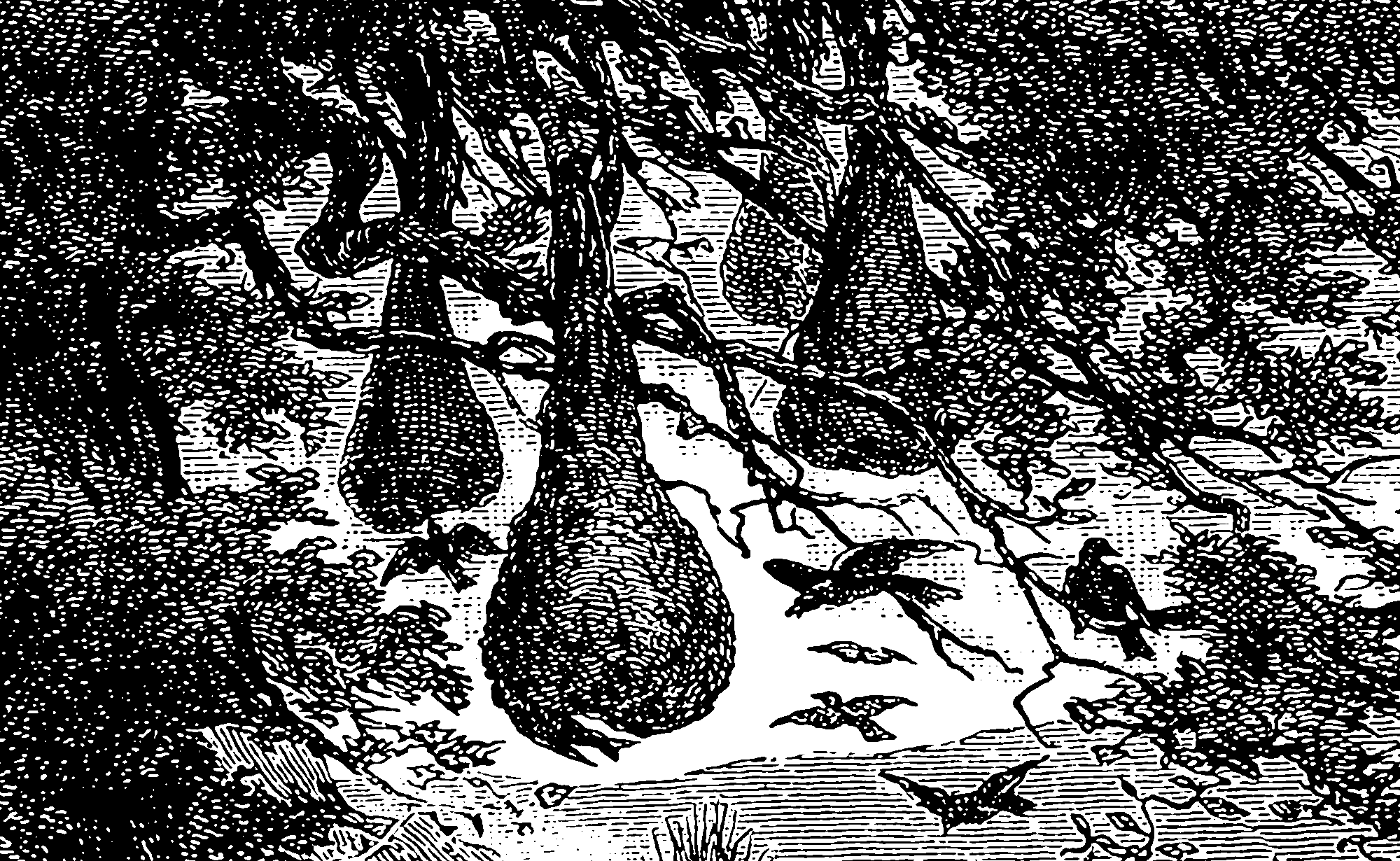 Nested Sampling Dan MacKinlay Nested Sampling Dan MacKinlay